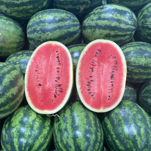 Sonya Watermelon, Thai Fresh Whole Watermelon